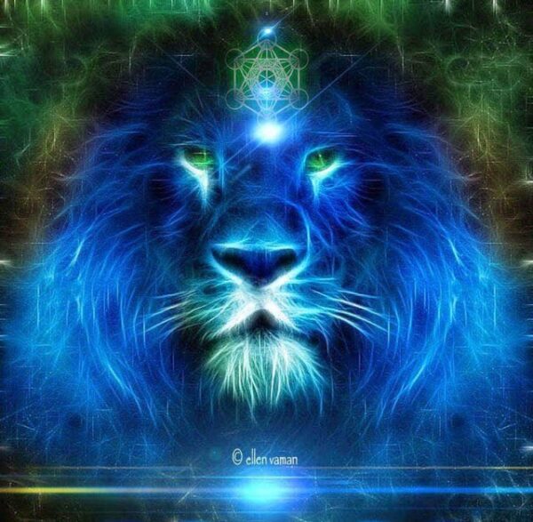 Exploring the Mystery of the Blue Feline Star Beings - Intuitive Mind